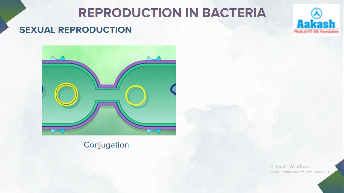 Nutrition in Bacteria Respiration, Reproduction & Types | AESL