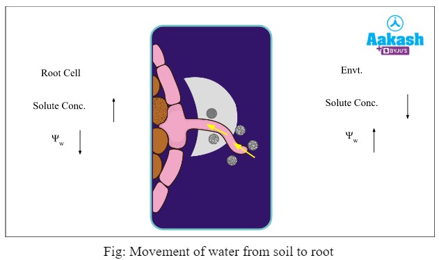 Definition of Osmosis in Biology: Definition, Types and Importance | AESL