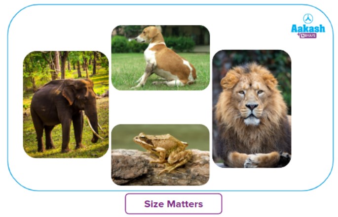 Atomic Radii: Definition, Factor, Types & Periodic Table - Chemistry ...