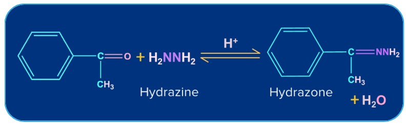 Chemical Properties of Ketones: Introduction, Chemical Properties of ...