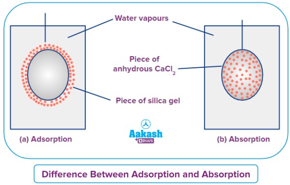 Adsorption vs Absorption – Adsorption, Absorption, Difference Between ...