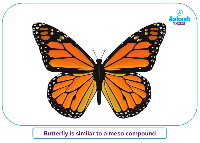 Meso Compounds – Definition, Identification and Examples of Meso ...