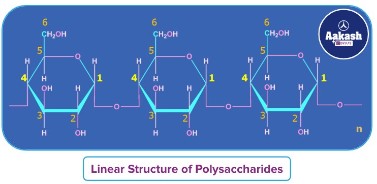 Polysaccharides – Introduction, Characteristics, Classification, Functions, Practice Problems ...
