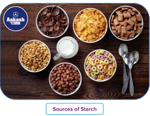 Polysaccharides – Introduction, Characteristics, Classification ...
