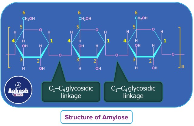 Polysaccharides – Introduction, Characteristics, Classification ...