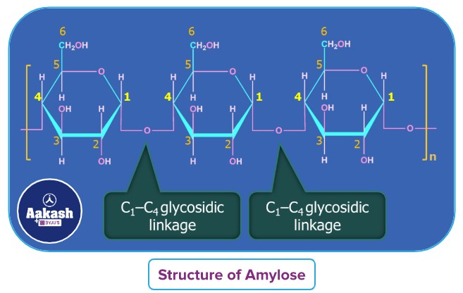 Alpha Glucose Linkage