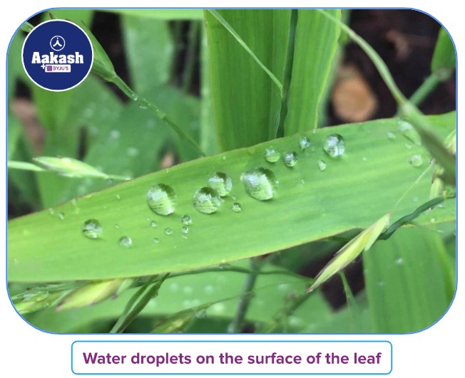 Physisorption – Graphs and Factors Affecting Physisorption, Adsorption ...