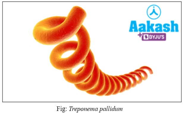 Syphilis: Causative Agent, Symptoms, Diagnosis, Treatment and ...