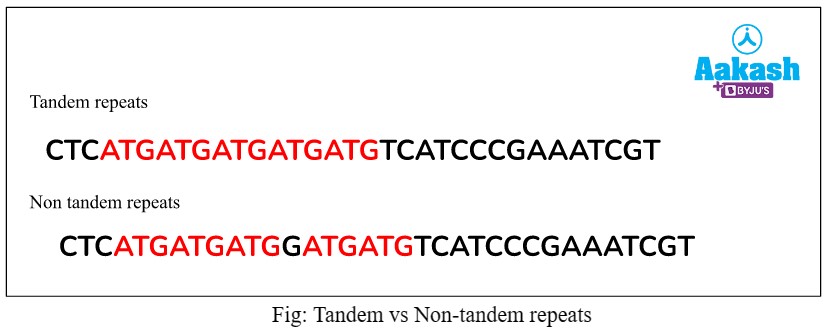 DNA fingerprinting: Steps and Applications, Practice Problems and FAQ’s ...