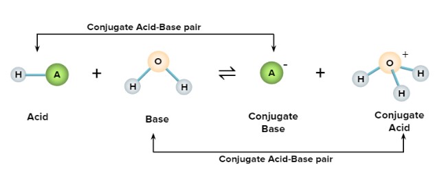 Lowry Bronsted Theory Definition, Amphoteric Substance, Brönsted Acid ...