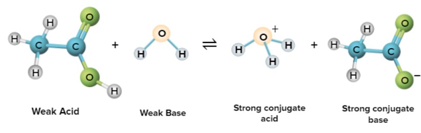 Lowry Bronsted Theory Definition, Amphoteric Substance, Brönsted Acid ...
