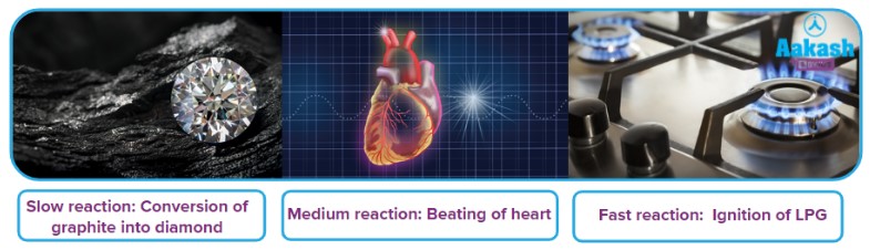 What is Rate Law: Definition, Expression & Equation | AESL