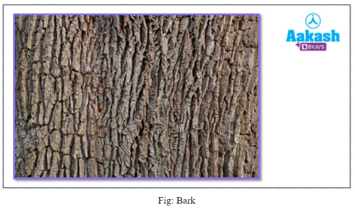 Transpiration: Definition, Types, Significance & Properties | AESL
