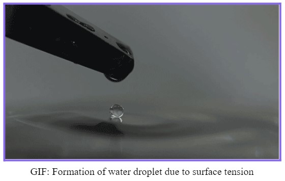 Transpiration: Definition, Types, Significance & Properties | AESL