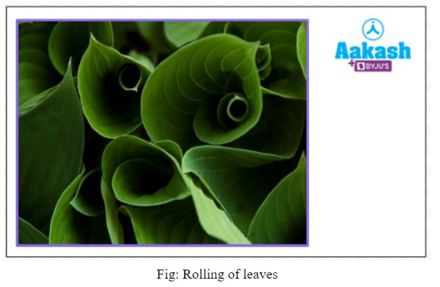 Transpiration: Definition, Types, Significance & Properties | AESL