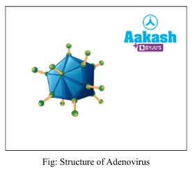 Virus: Structure, Classification, Characteristics & Discovery | AESL