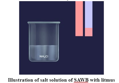 Hydrolysis of Salt of Strong Acid and Weak Base | AESL