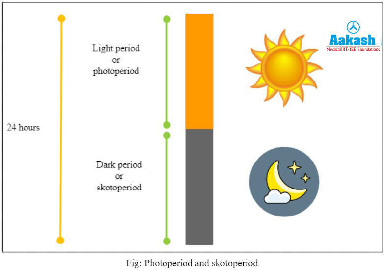 Photoperiodism: Meaning, Mechanism, induction & Types | AESL