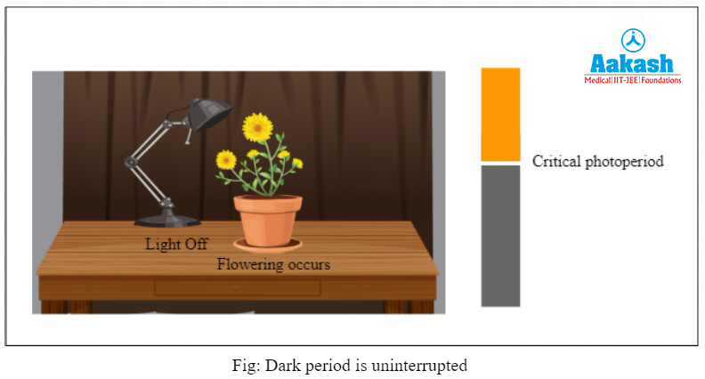 Photoperiodism: Meaning, Mechanism, induction & Types | AESL
