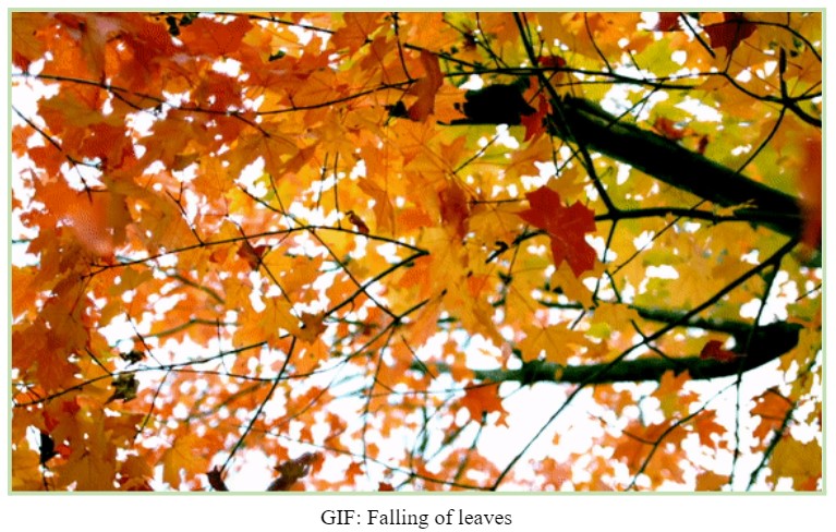 Ethylene: Formula, Structure, Discovery & Effects | AESL