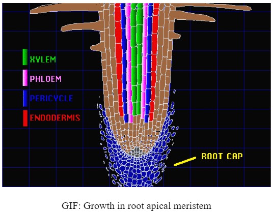 Types, Parameters, Phases & Factors Affecting on Plant Growth | AESL
