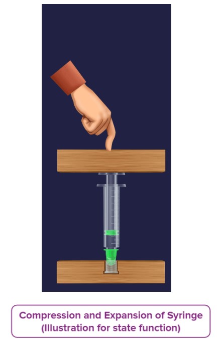 Intensive and Extensive Functions - System, Surrounding, Universe ...