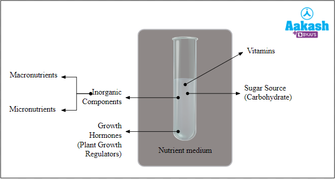 Tissue Culture: Definition, Steps, Applications & Micropropagation | AESL