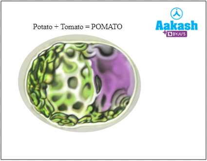 Tissue Culture: Definition, Steps, Applications & Micropropagation | AESL
