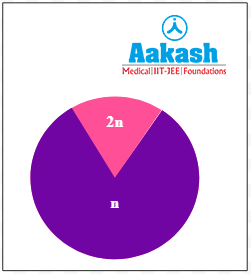 Protista: Definition, Reproduction, Protist metabolism & Habitat | AESL