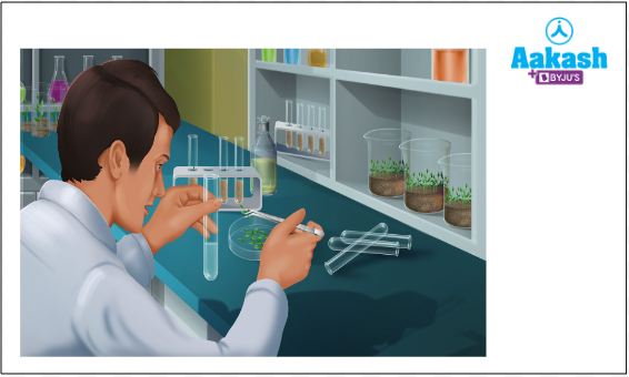Tissue Culture: Definition, Steps, Applications & Micropropagation | AESL