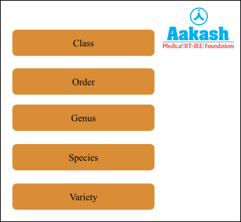 Taxonomic Hierarchy Definition & Taxonomic Categories Formation | AESL