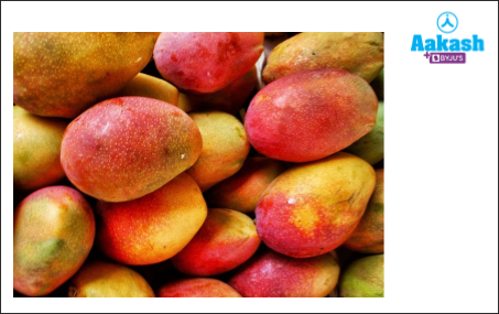 Taxonomic Hierarchy Definition & Taxonomic Categories Formation | AESL