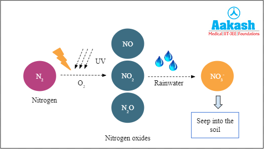 Symbiosis: Types, Nitrogen Fixation, Ecological Importance, Practice ...