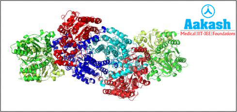 Symbiosis: Types, Nitrogen Fixation, Ecological Importance, Practice ...