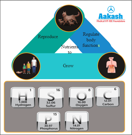 Nutrient cycle: Definition, Types, Examples & Carbon cycle | AESL