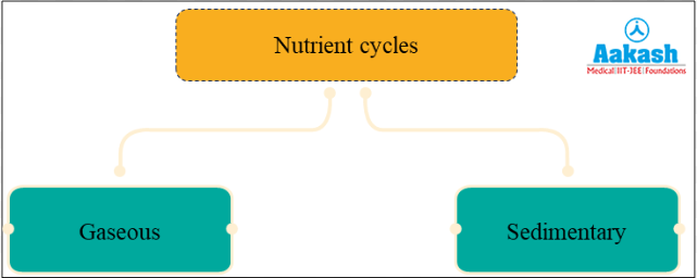 Nutrient cycle: Definition, Types, Examples & Carbon cycle | AESL