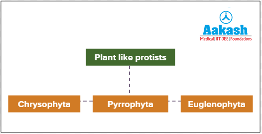 Protista: Definition, Reproduction, Protist metabolism & Habitat | AESL