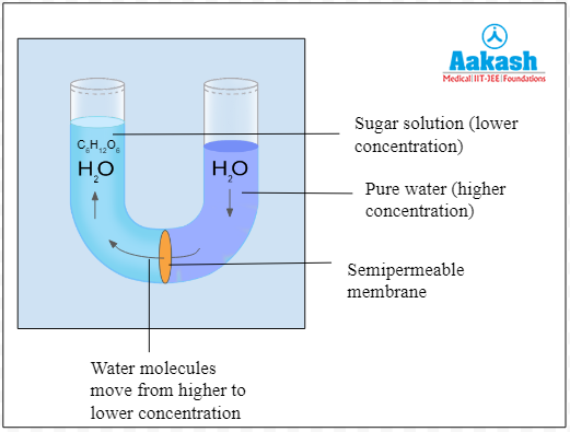 Plasmolysis in Biology: Definition, Types and Importance | AESL