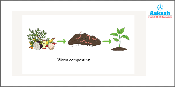 Solid Waste: Types, Sources, Impacts & Disposal | AESL