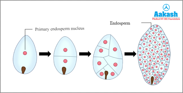 Post-Fertilisation Events in Plants and Animals, Practice Problems, and ...