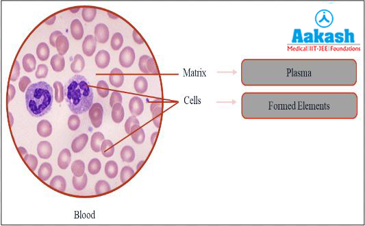 Plasma: Characteristics, Composition, Functions, Practice Problems, and ...