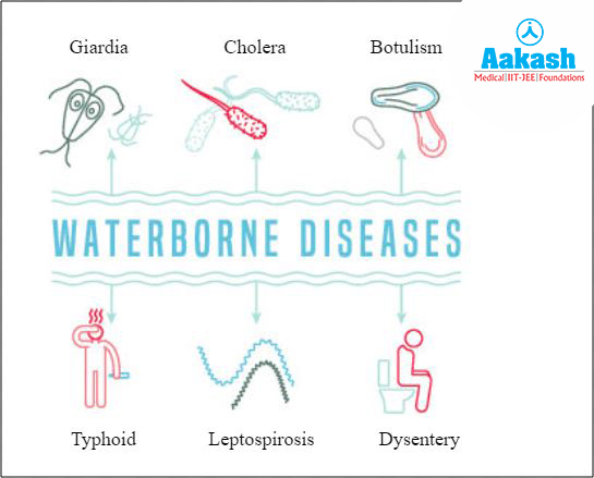 Water Pollutants: Definition, Types, Sources, Effects, Practice ...