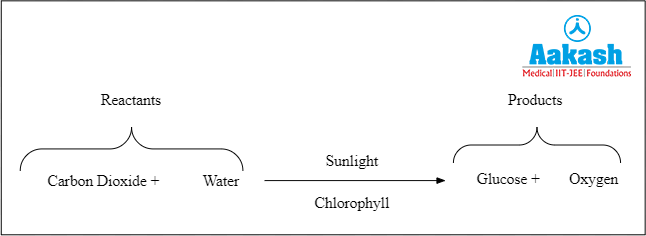 Photochemical Reactions in Biology: Definition, Types and Importance | AESL