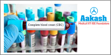 Platelets: Thrombopoeisis, Shape and Size, Mechanism of Blood Clotting ...