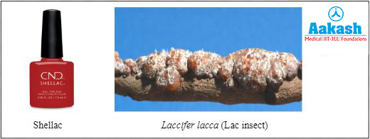 Waxes: Natural, Synthetic, Economic Importances, Disadvantages ...