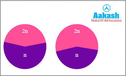 What are-Plants in Biology: Definition, Types and Importance | AESL