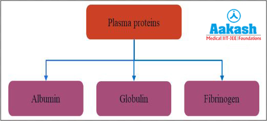 Plasma: Characteristics, Composition, Functions, Practice Problems, and ...