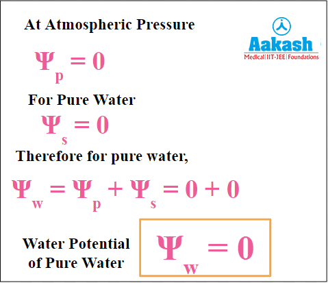 Plant Water Relations: Water Potential, Solute Potential, Pressure ...