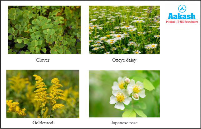 Water, Practice Problems and FAQs in Biology: Definition, Types and ...