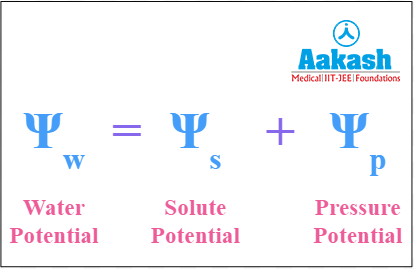 Plant Water Relations: Water Potential, Solute Potential, Pressure ...
